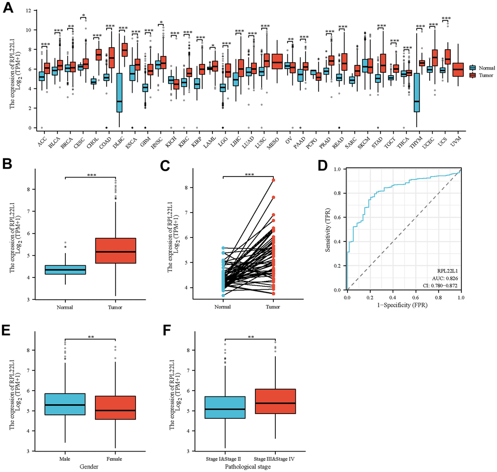 RPL22L1 is a novel biomarker for prognosis and immune infiltration in ...