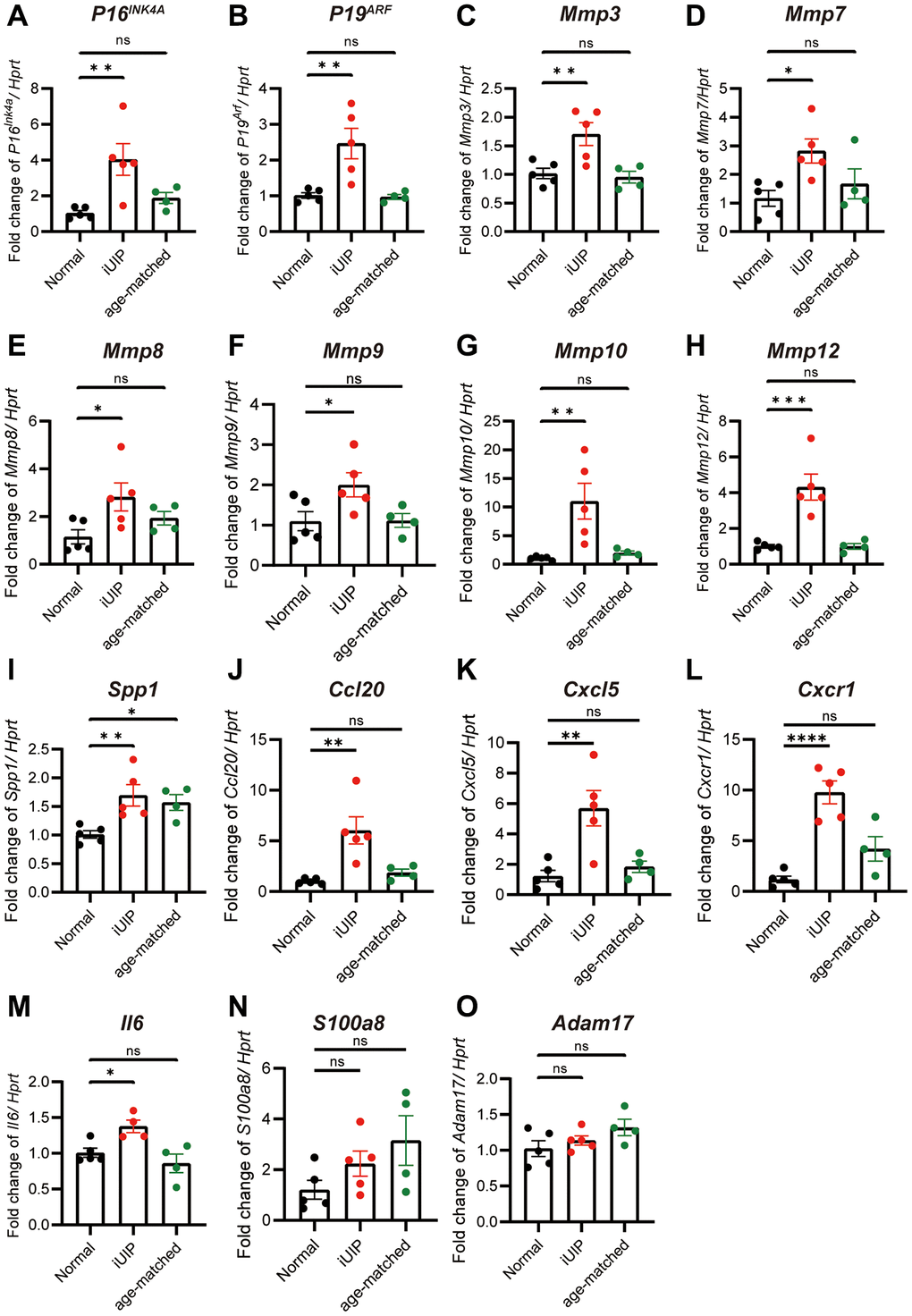 Bleomycin promotes cellular senescence and activation of the cGAS-STING ...